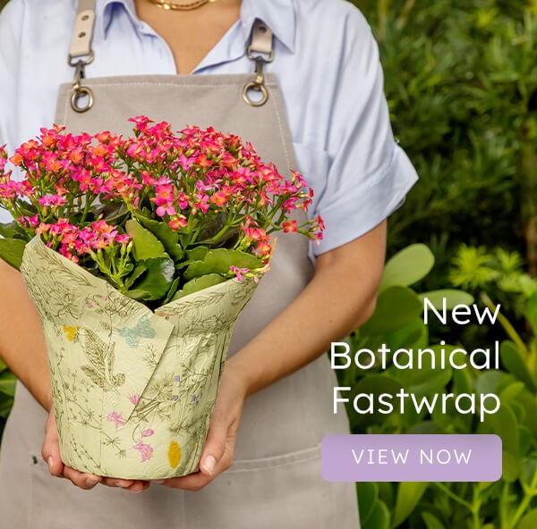 Decowraps